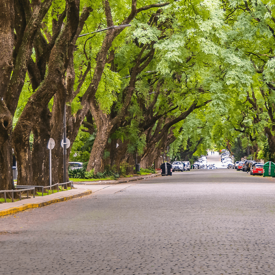 Is Argentina Safe? A Comprehensive Guide for Expats